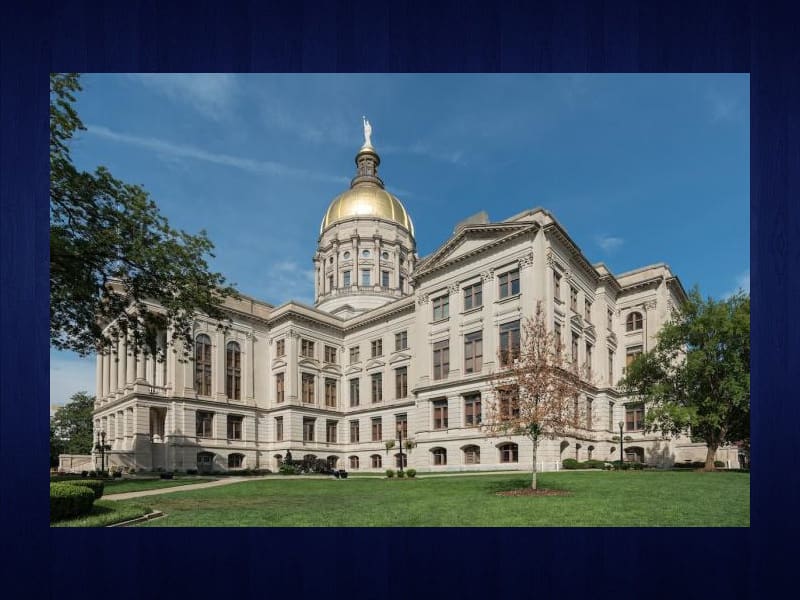 Election Recap: Northeast Georgia state legislature primaries ...