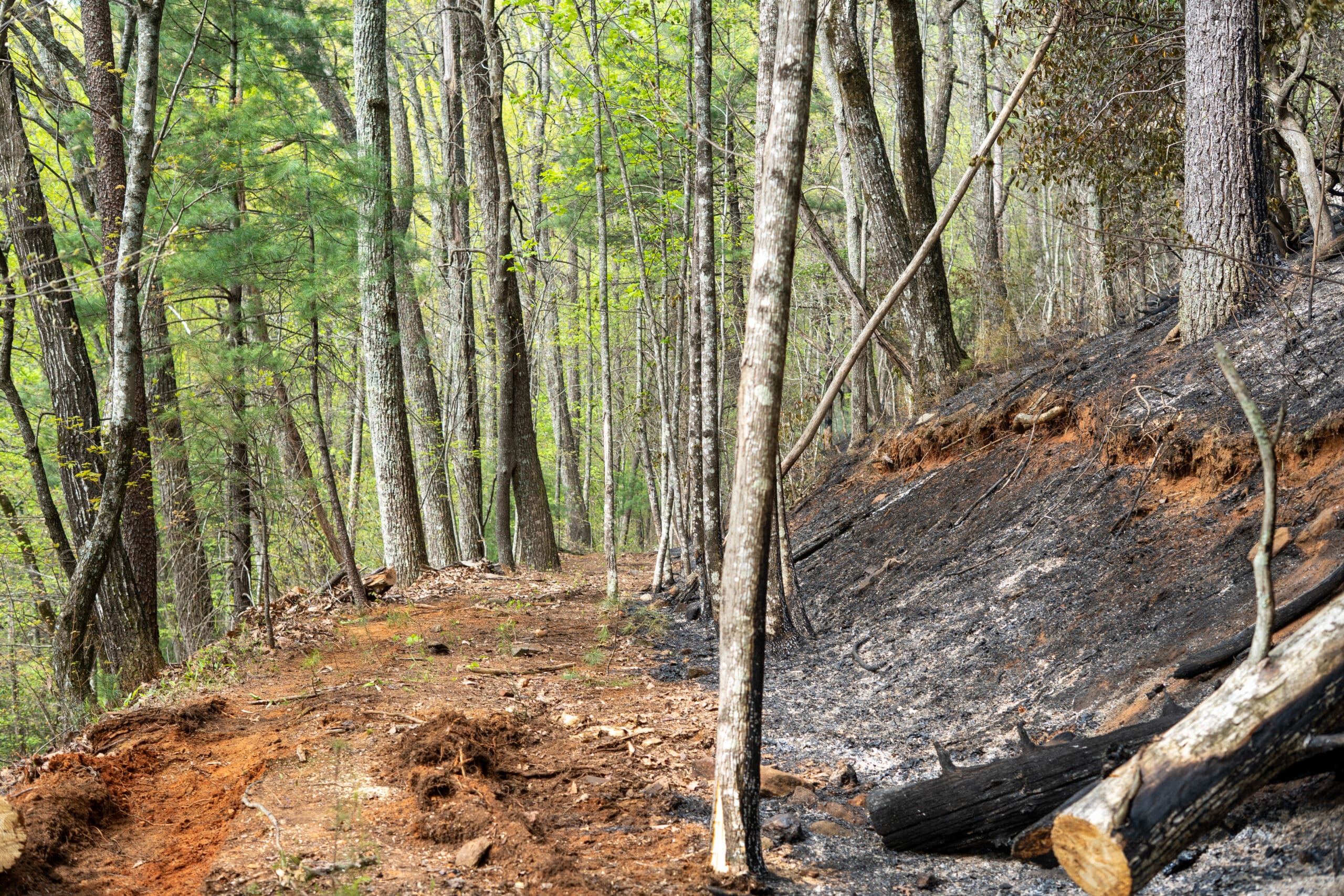 UPDATE: White County and U.S. Forest Service have 100% containment over ...