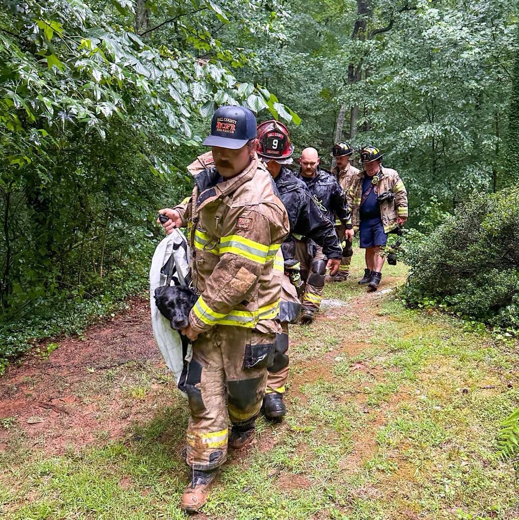 Hall County firefighters rescue dog trapped in ravine during Thursday ...